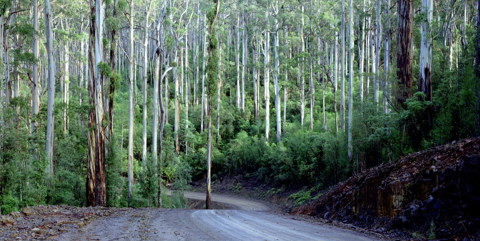 Visitor Information - Sorell Council